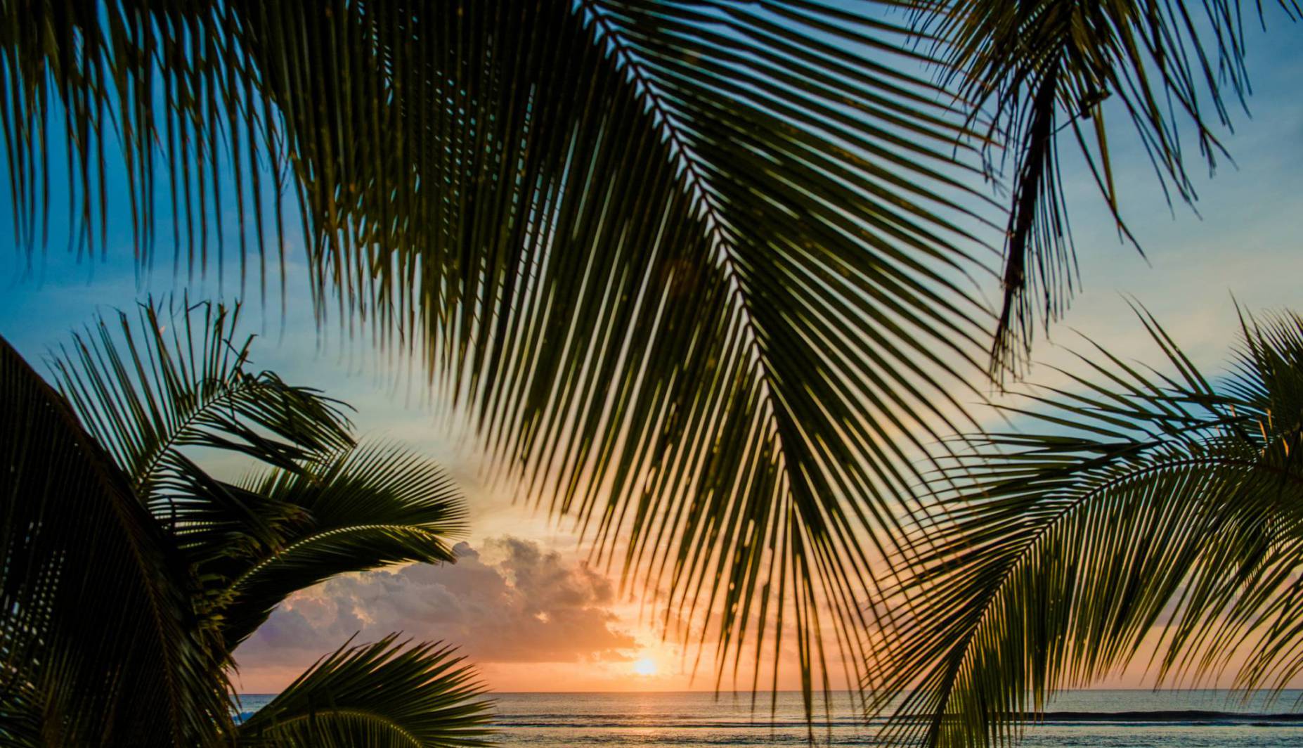 Magic Reef - Magic Reef Beachfront Bungalows